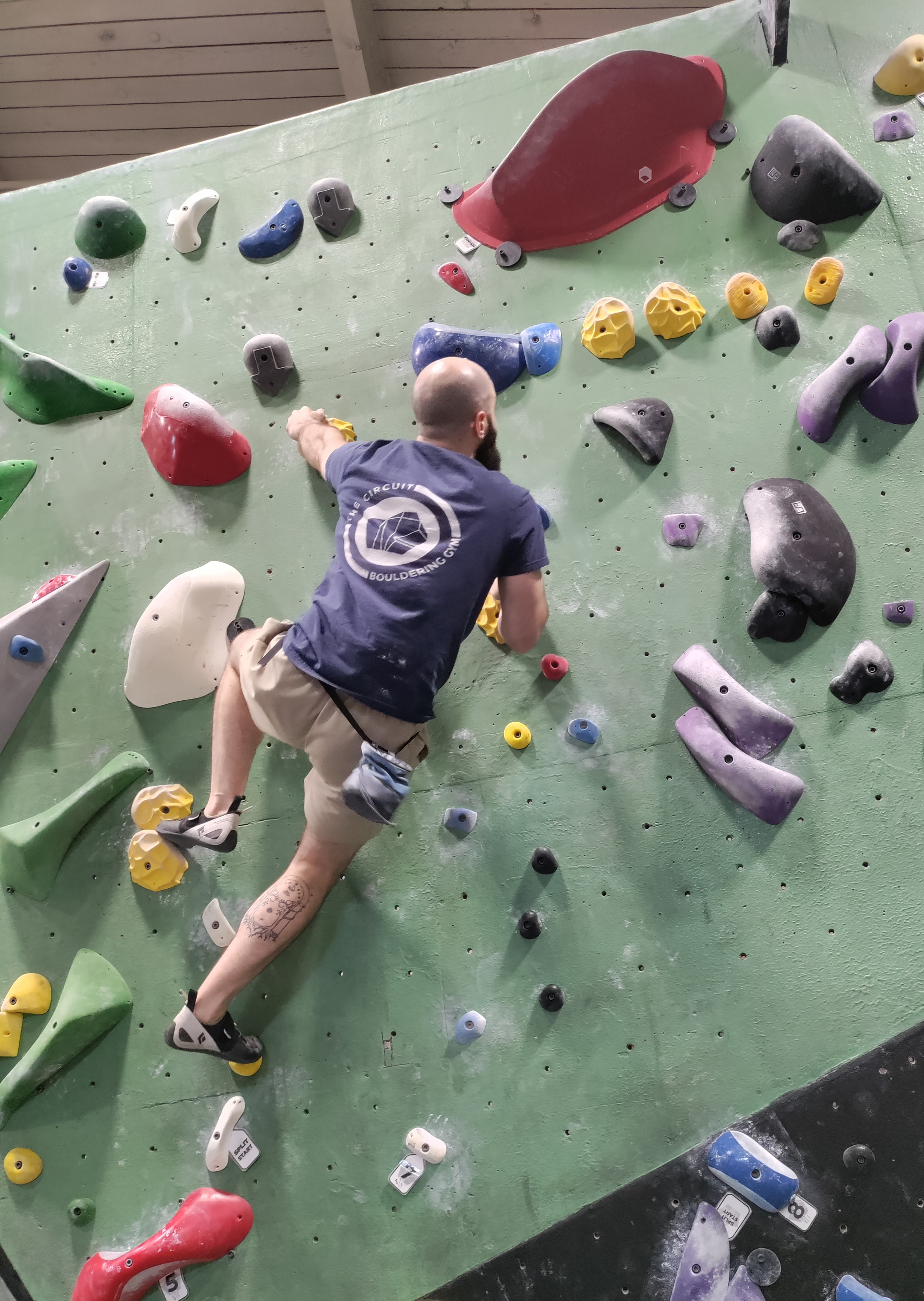 Summer Crazies | C. J. Switzer